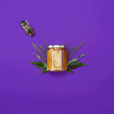 Saving Bees PSA – Alice c langlois